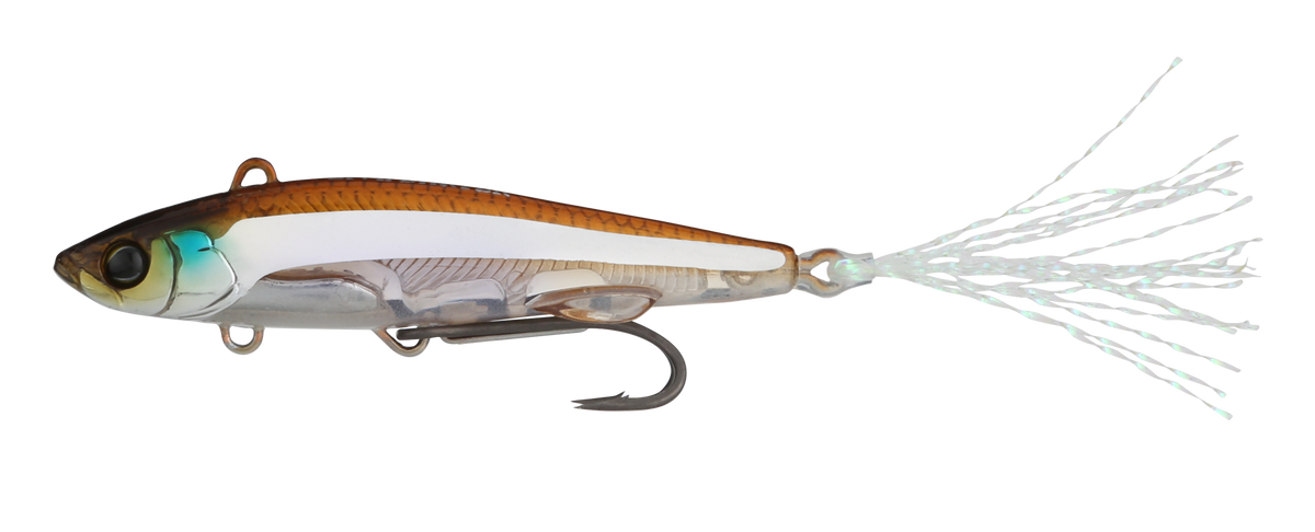 Live Darter – The Hook Up Tackle